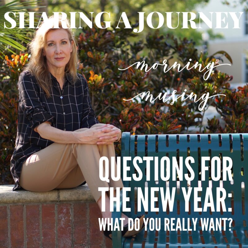 Getting What You Really Want from Life: A few Easy Questions - Nina Anders